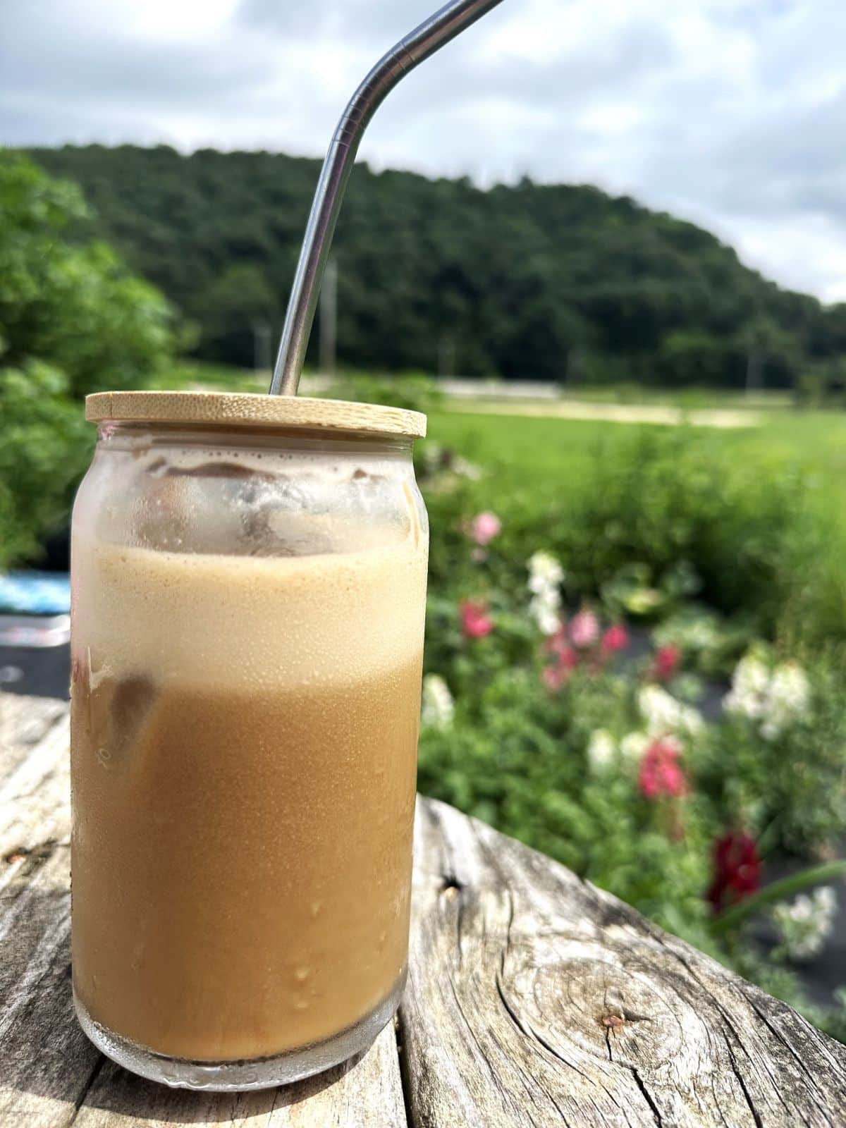 Nescafe Protein Latte • Recipes from French Creek